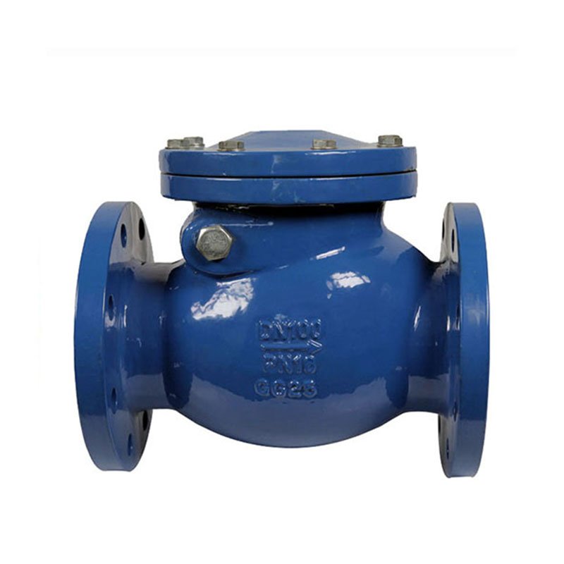 Swing Check Valve|Check Valve |Swing Check