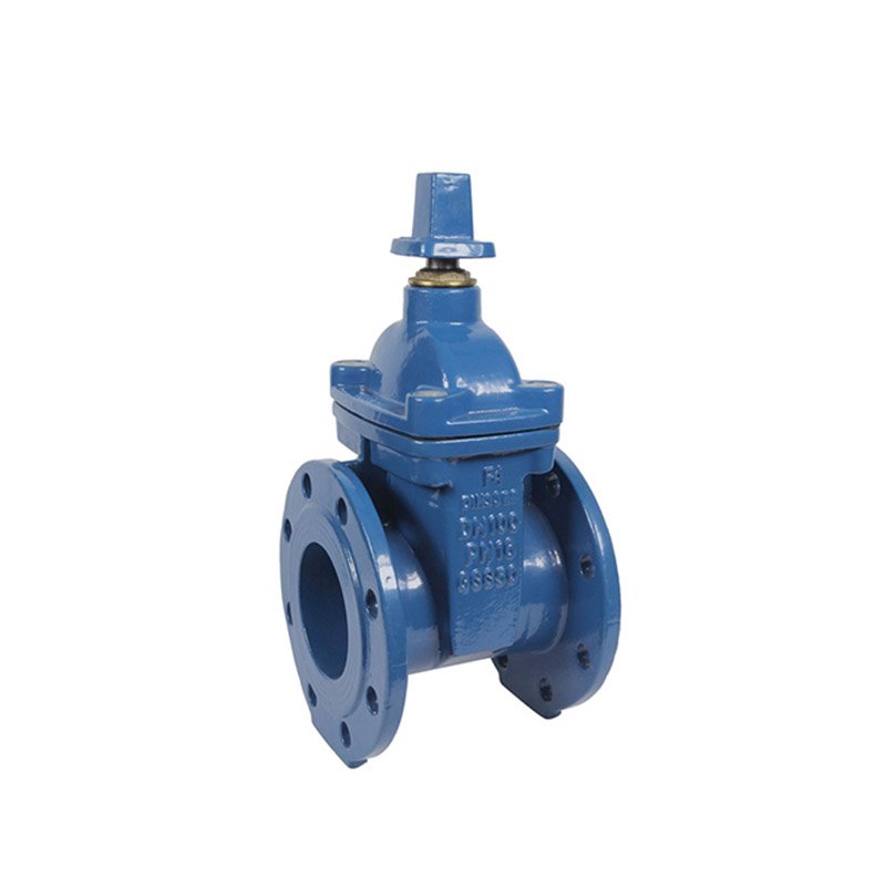 DIN3352 F4 F5 Resilient Seated Flanged Gate Valves |Flanged Gate Valves