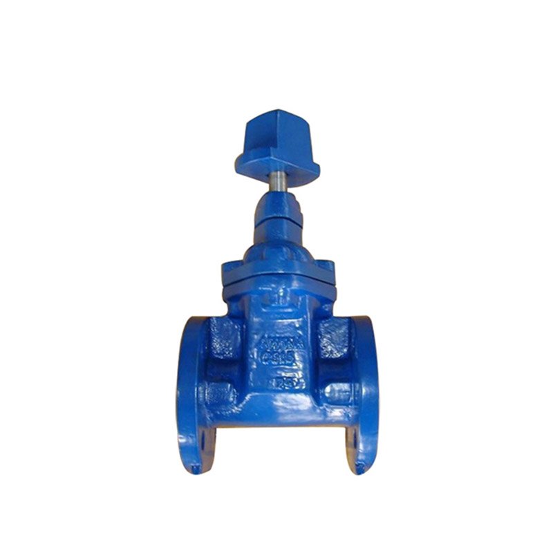 AWWA C509 AWWA C515 Cast iron Gate Valve|Cast iron Gate Valve | AWWA ...